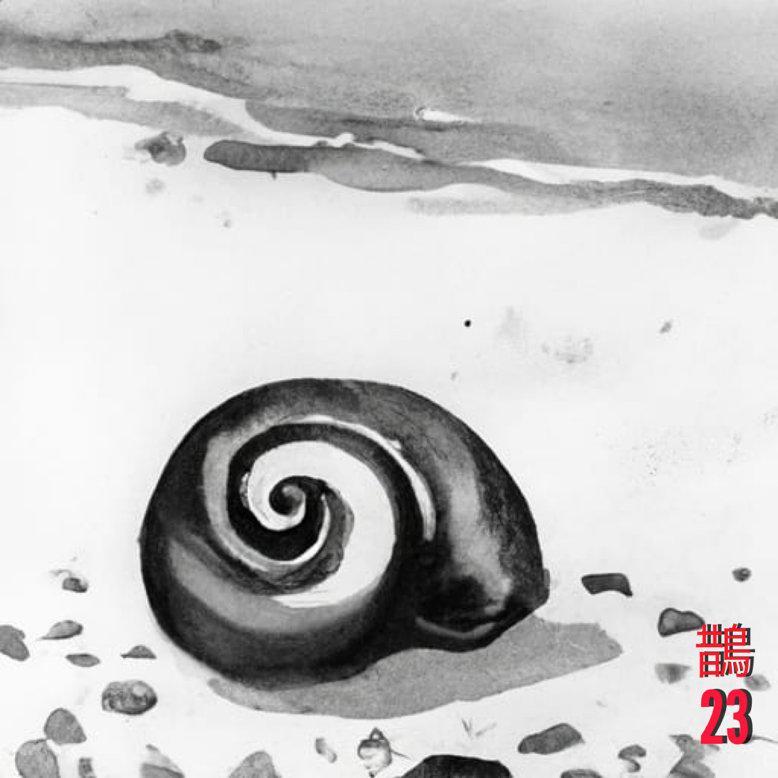 moon snail – 鵲の歌 / Magpie Song